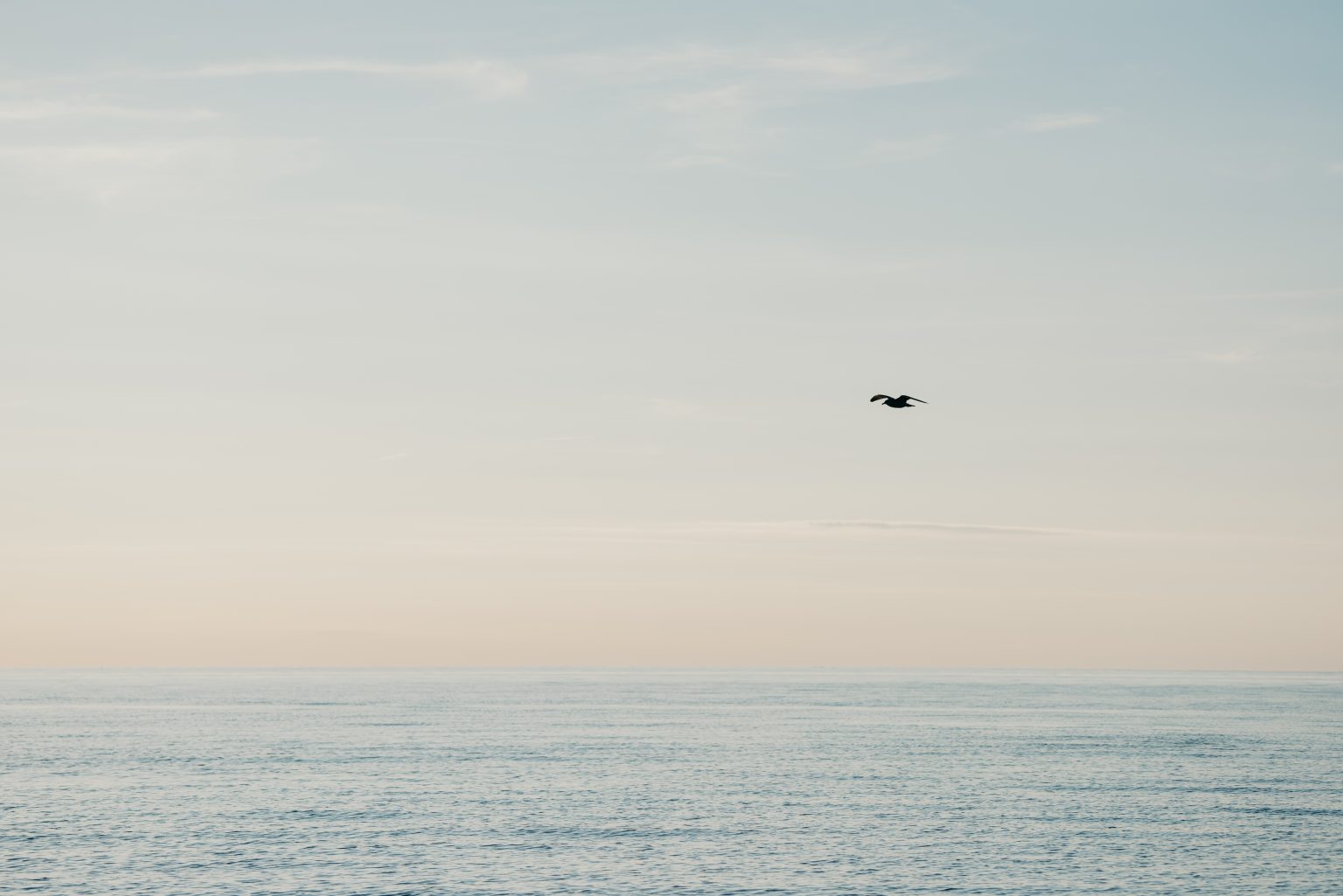 Wellfleet Surprise Beach Proposal- Photographer Cape Cod - Meghan Lynch ...