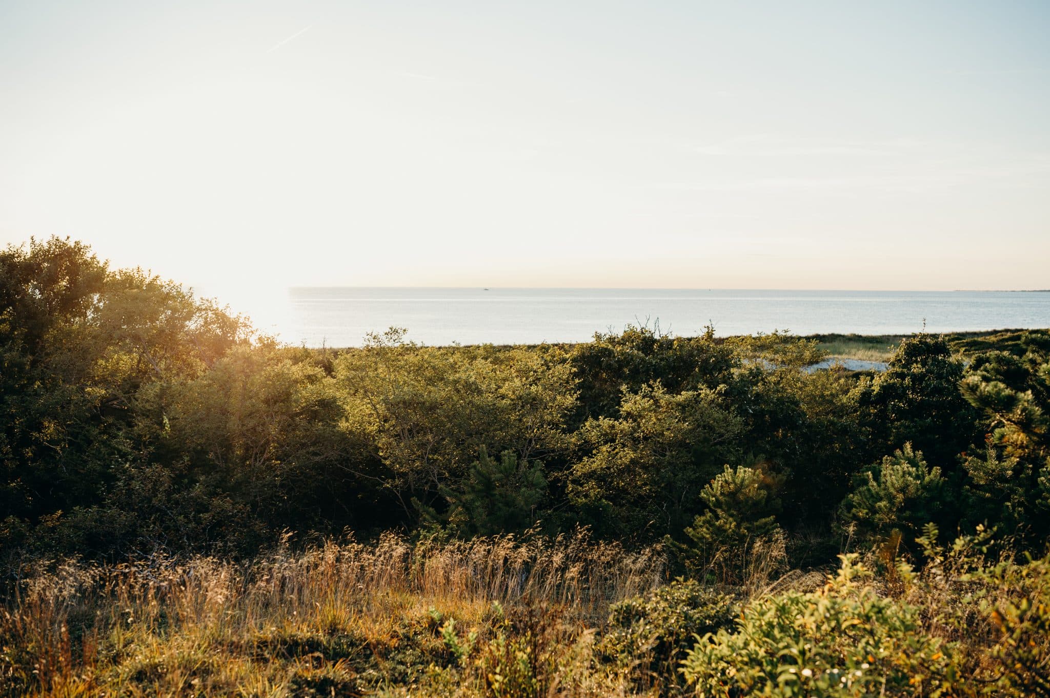 Wellfleet Surprise Beach Proposal- Photographer Cape Cod - Meghan Lynch ...
